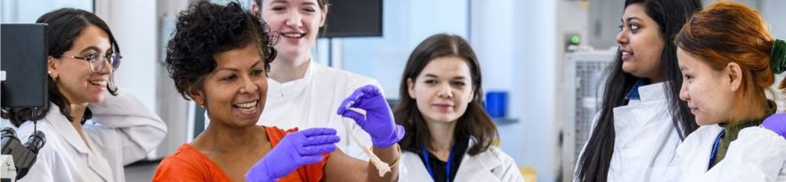 Education: Centre for Bioengineering